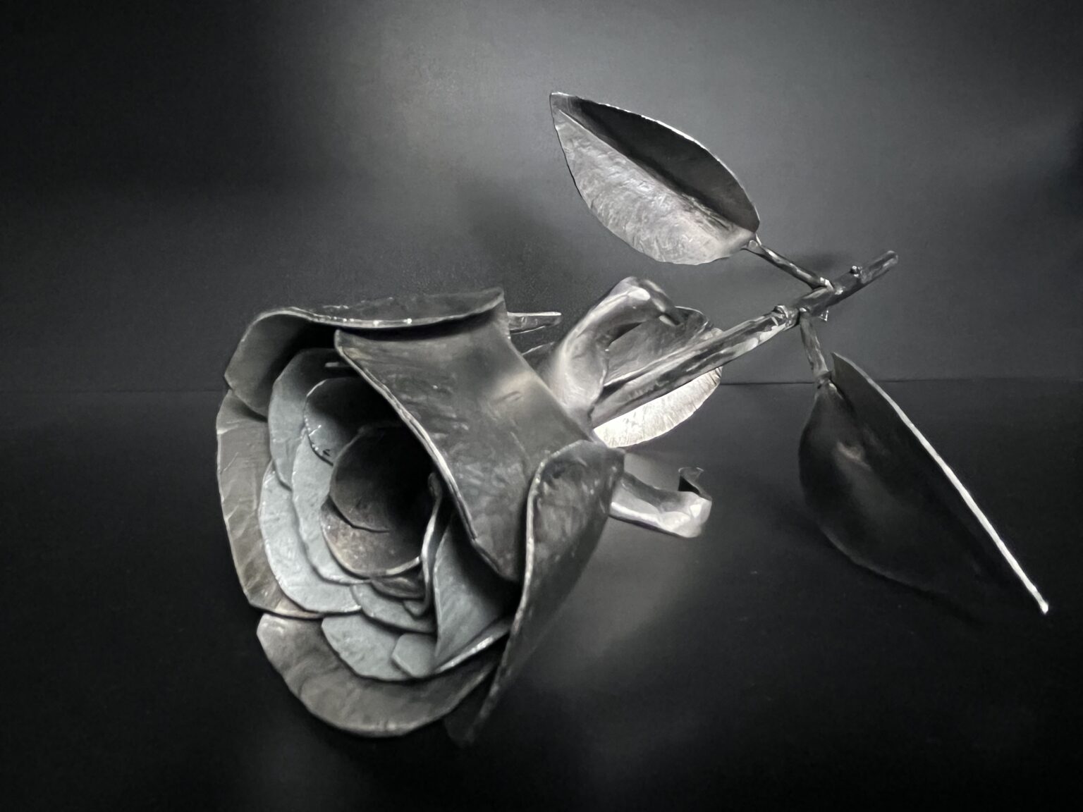 GANADORES Y FINALISTAS DE ‘LA IMAGEN DEL METAL’ – FEMZ